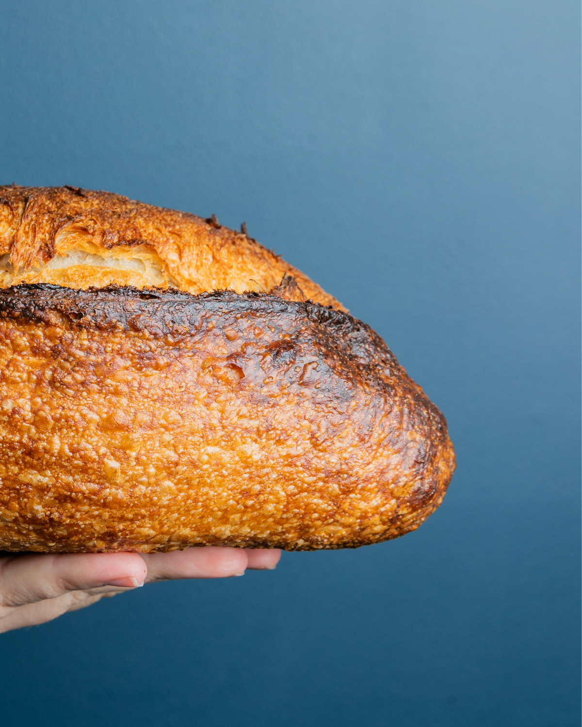 BAKER of THINGS